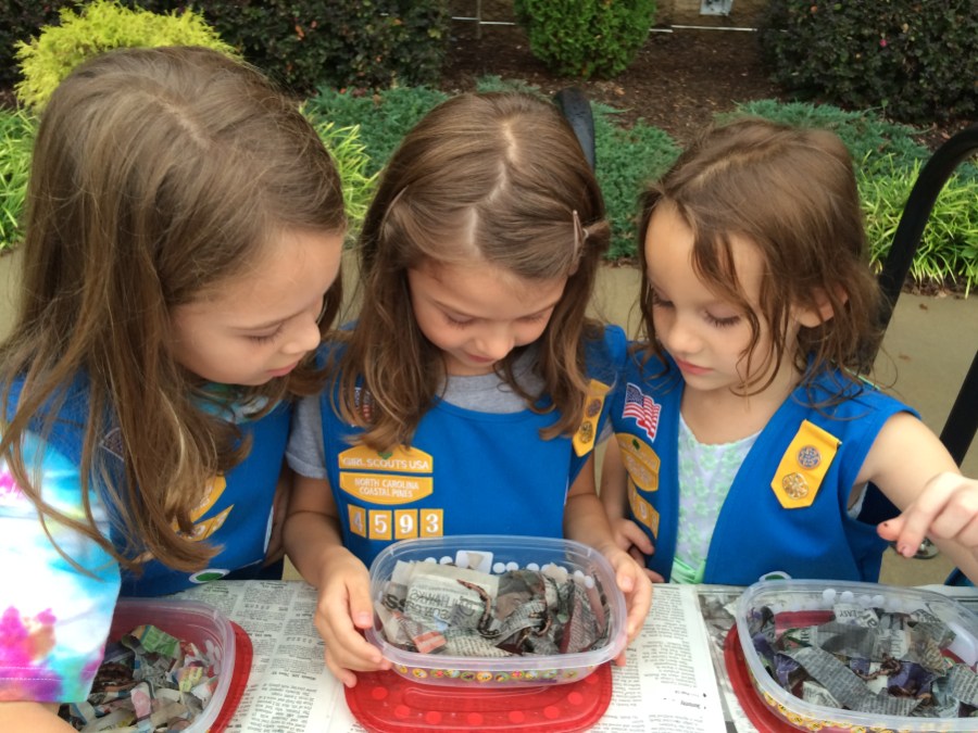 Daisy Journey Spotlight: Welcome to the Daisy Flower Garden – Blog ...