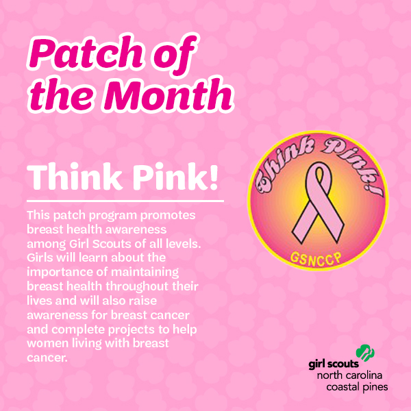 Become Civically Engaged With Girl Scouts – Blog – Girl Scouts NC ...